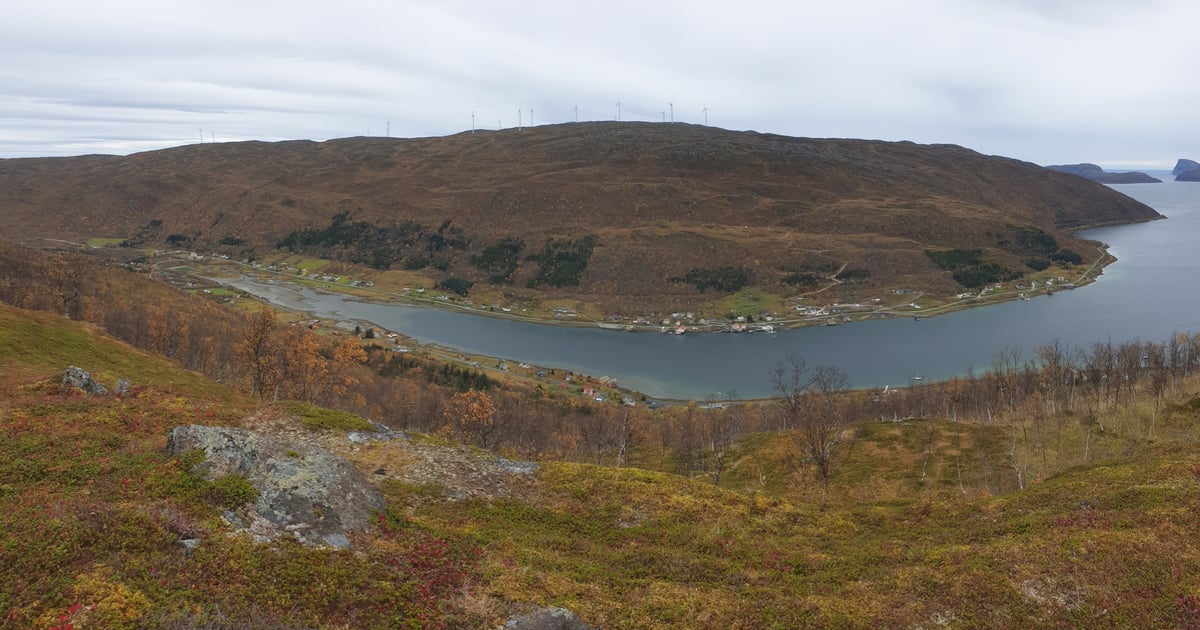 Småviltjakt i Sjøtun og Sandneshamn 2025 - Kvaløya | inatur.no