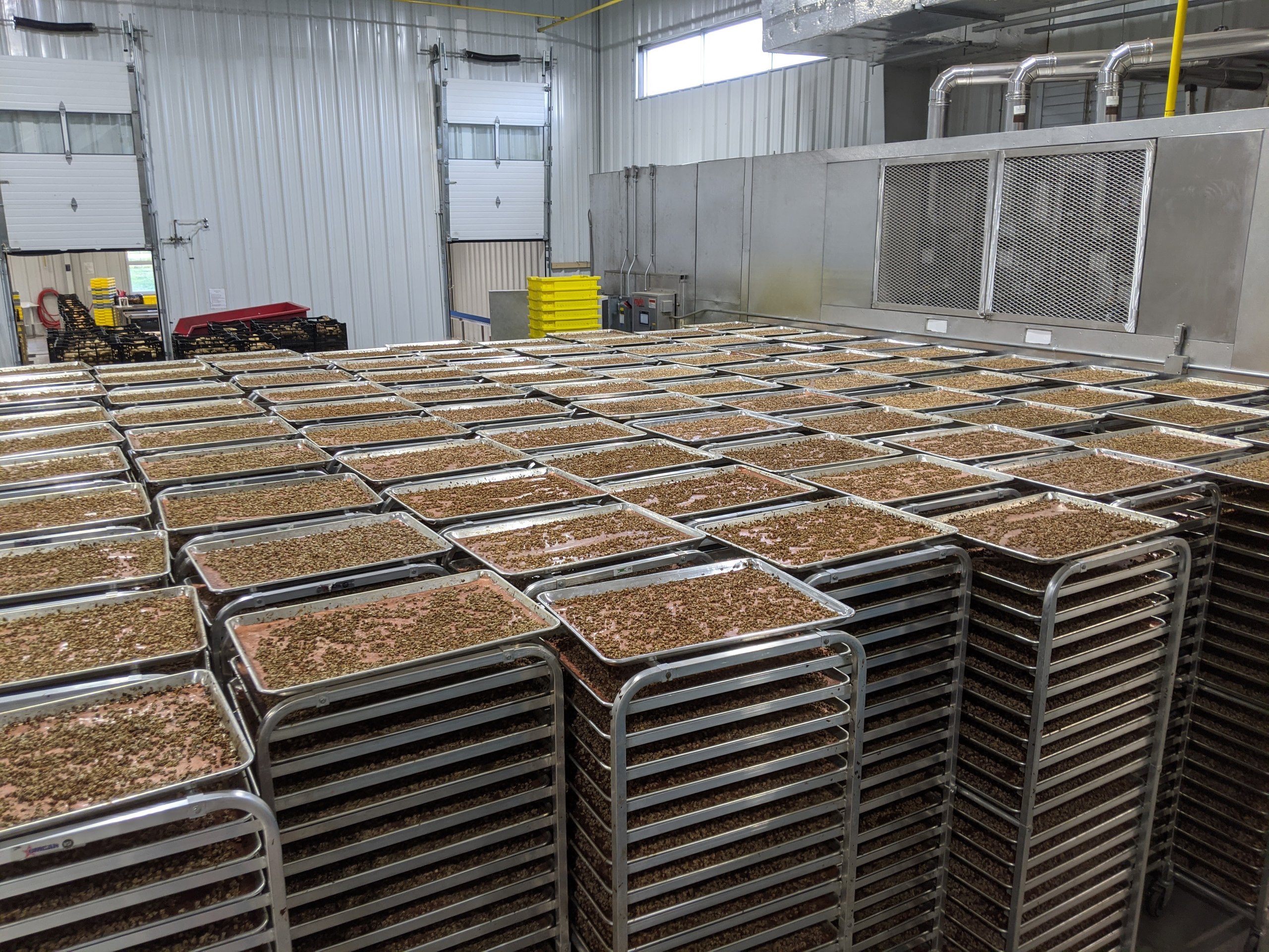 Dehydration Systems | Industrial Food Drying | Brewer, Maine