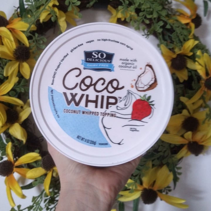 So Delicious Dairy Free Coco Whip Review | abillion