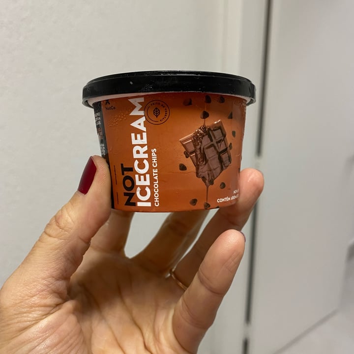 NotCo Not Ice Cream Chocolate Chips Review | abillion
