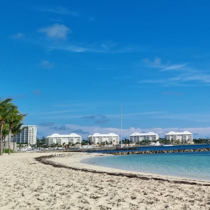 Bahama Blu Reviews | abillion