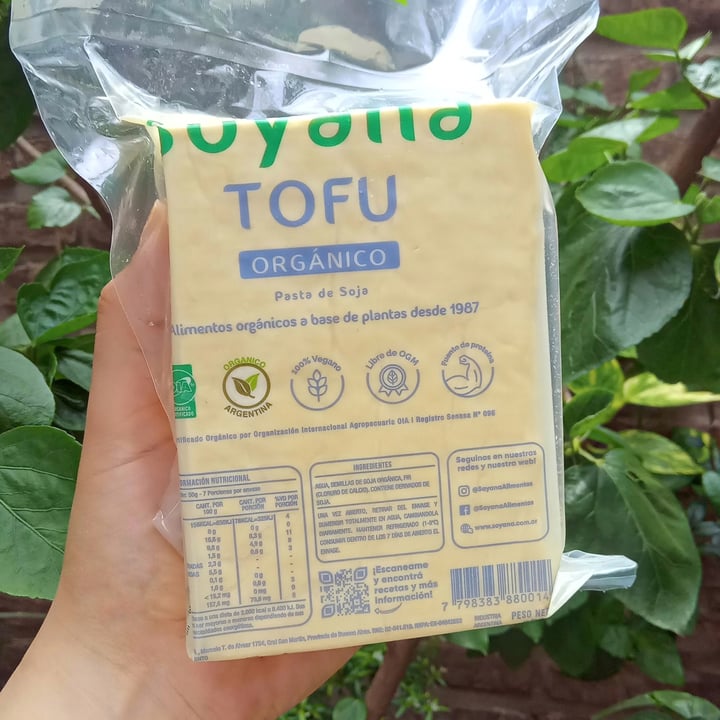 Soyana Tofu Orgánico Review | abillion