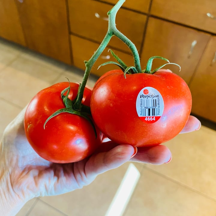 Magic Sun Vine Ripened Tomatoes Review | abillion
