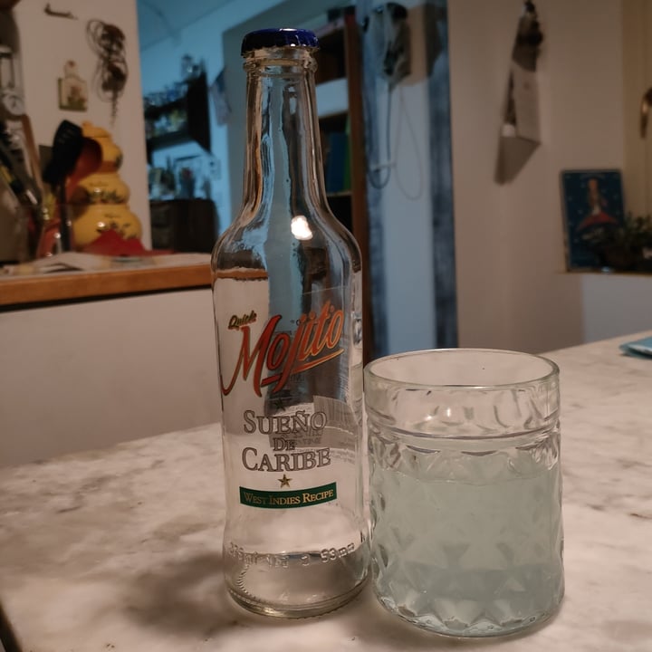 Distilleria Turchetto Quick Mojito Review | abillion