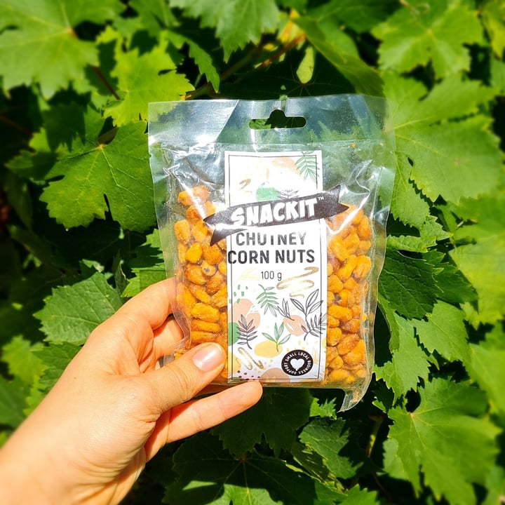 Snackit Chuntney Corn Nuts Review | abillion