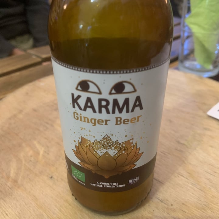 Biogroupe karma ginger beer Review | abillion