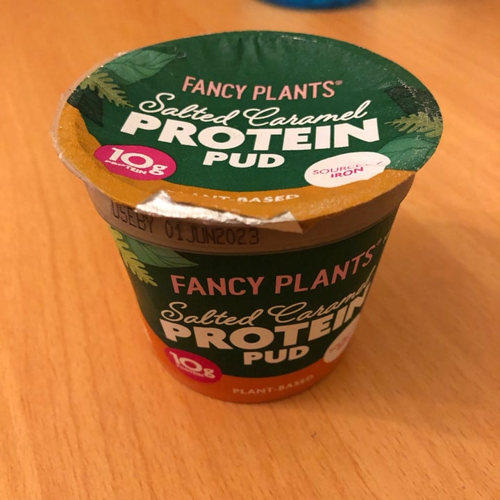 Fancy Plants Salted Caramel Protein Pud Review | abillion