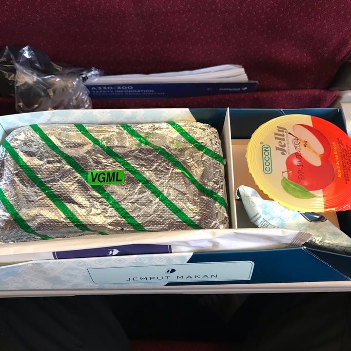 Malaysia Airlines Vegetarian Vegan Meal (VGML) Review | abillion