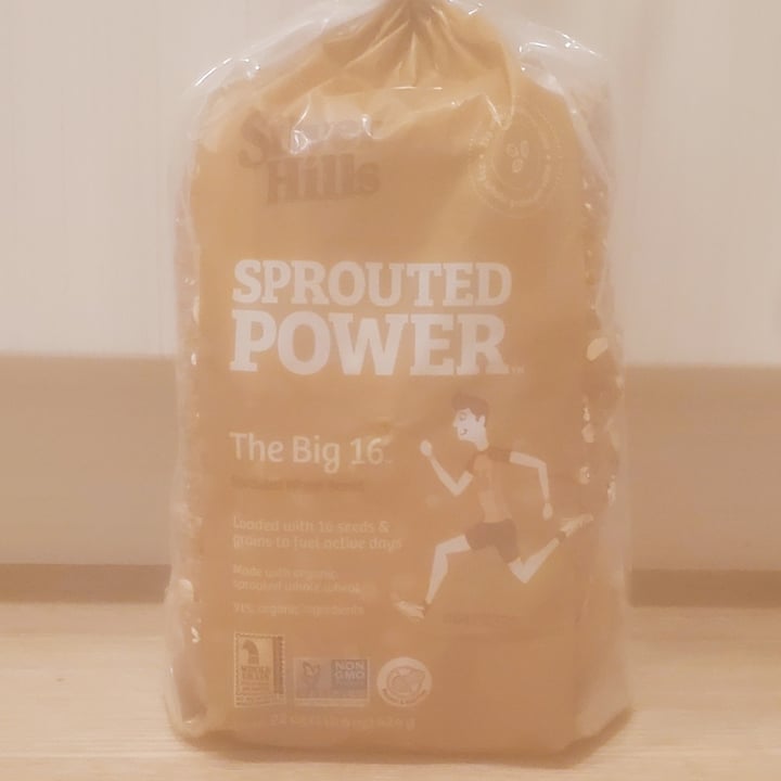 Silver Hills Sprouted Bakery Sprouted Power - The Big 16 Review | abillion
