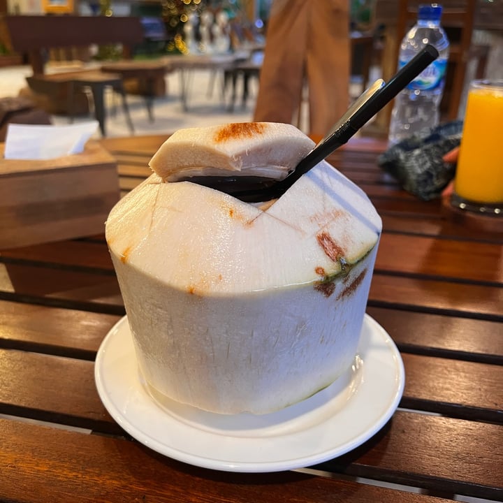 Panbil Nature Reserve Indonesia Fresh Coconut Review | abillion