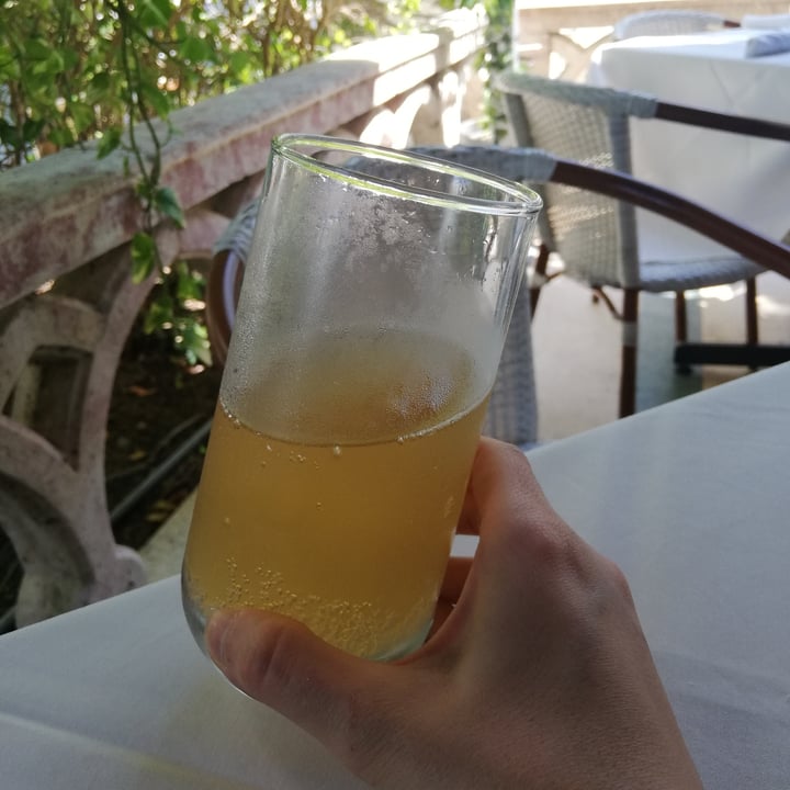 Brewing life Kombucha - Pina Con Coco Review | abillion