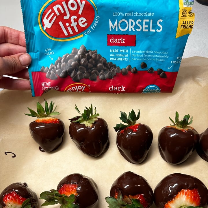 Enjoy Life 100% Real Chocolate Morsels Review | abillion