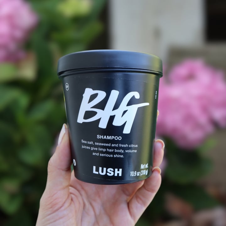 LUSH Fresh Handmade Cosmetics Big Review | abillion