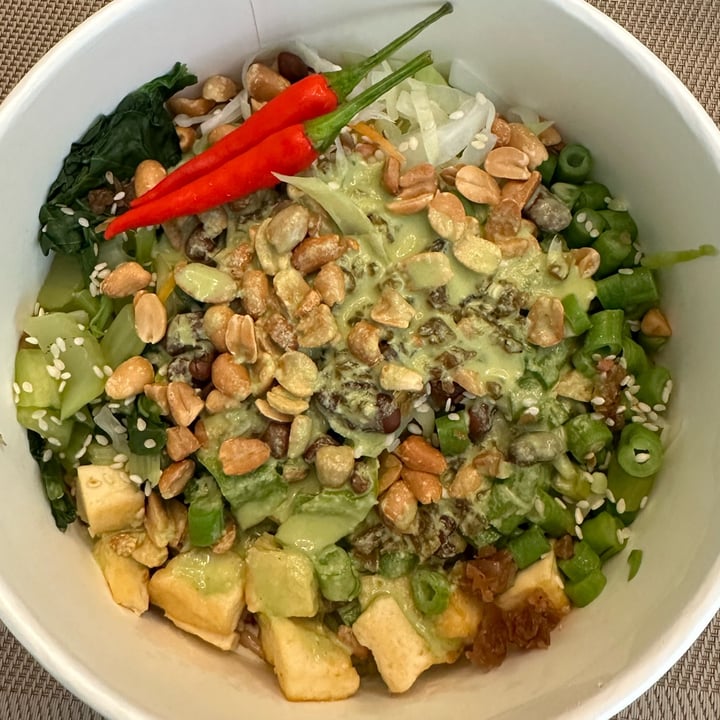 Living Wholesome Vegetarian (Thunder Tea Rice) Bukit Timah, Singapore ...