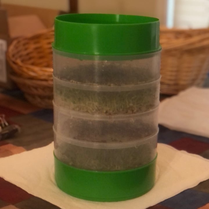 VKP brandd Kitchen crop sprouting tower Review | abillion