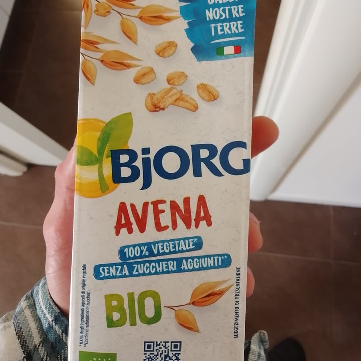 Bjorg Bjorg Avena Review | abillion