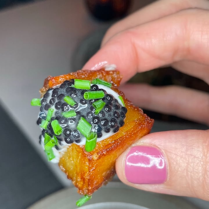 PLANTA Williamsburg, Brooklyn, United States 1000 layer potatoes Review ...