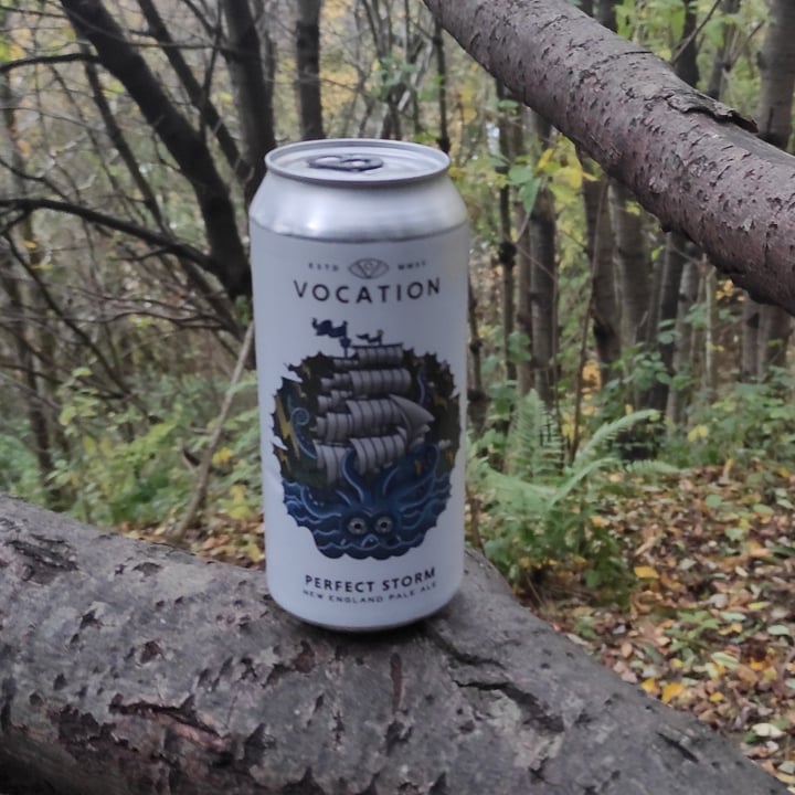 Vocation Brewery Perfect Storm (Craft Beer) Review | abillion