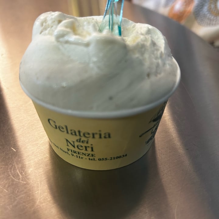 Gelateria dei Neri Firenze, Italy Gelato Al Coco E Banana Review | abillion