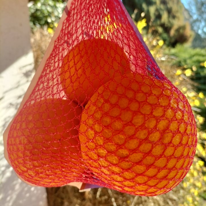 Redcop Arance Tarocco Igp Review | abillion