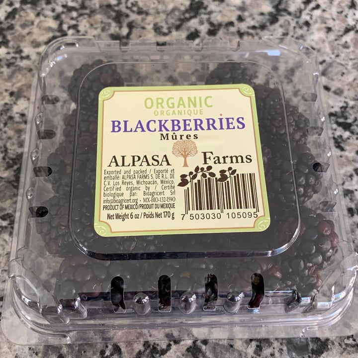 Alpasa Farms organic blackberries Review | abillion