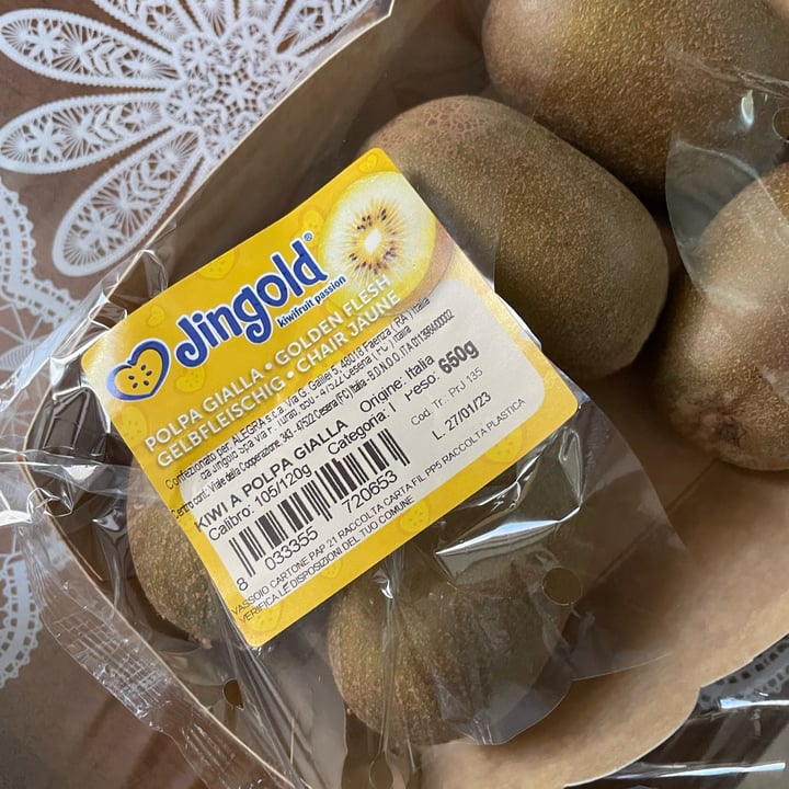 Jingold Golden Kiwi Review | abillion