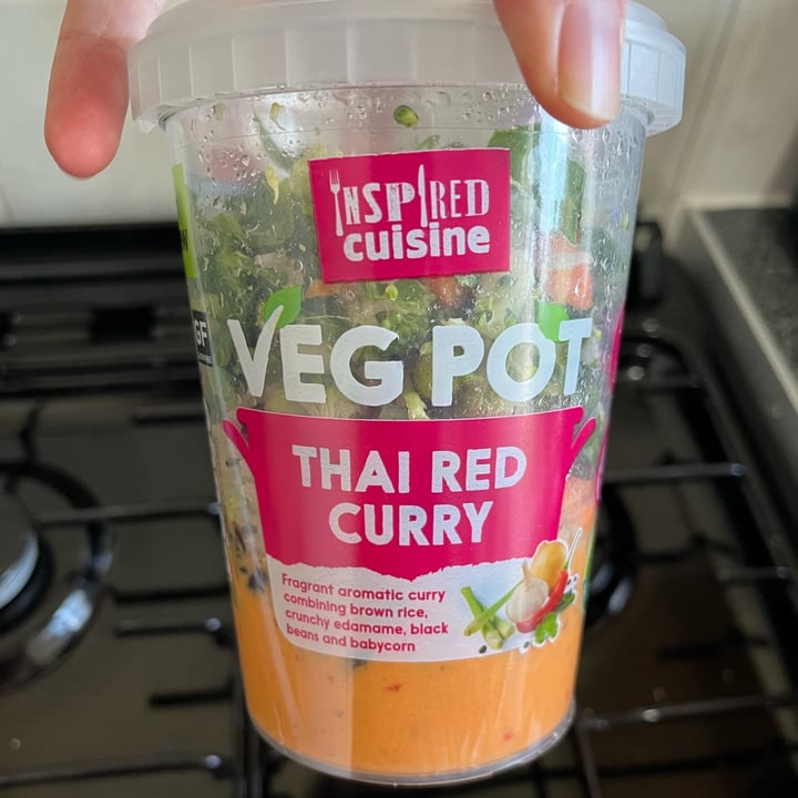 Inspired cuisine Thai Red Curry Veg Pot Review | abillion