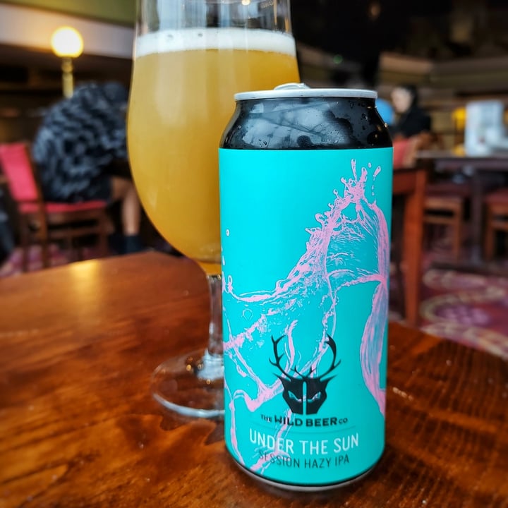 The Wild Beer Co Under the Sun - Session Hazy IPA Review | abillion
