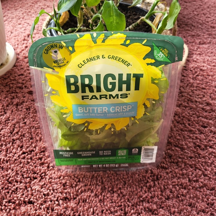 Bright Farms Butter Crisp Review | abillion