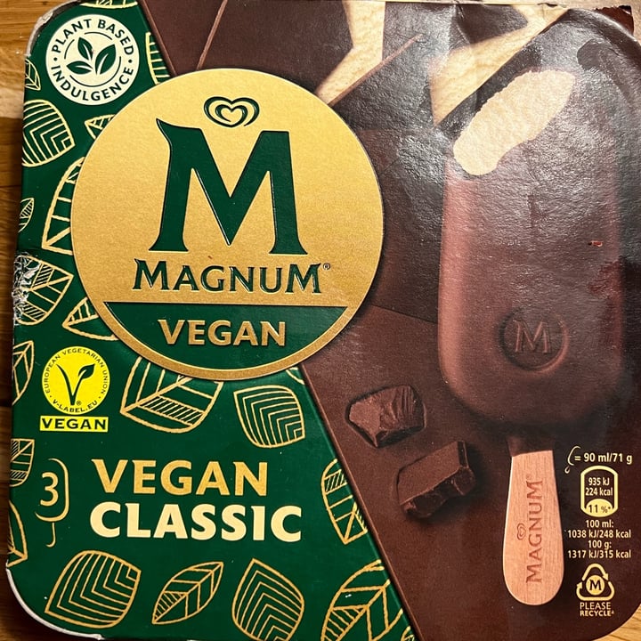 Magnum Vegan Mini Classic Review | abillion