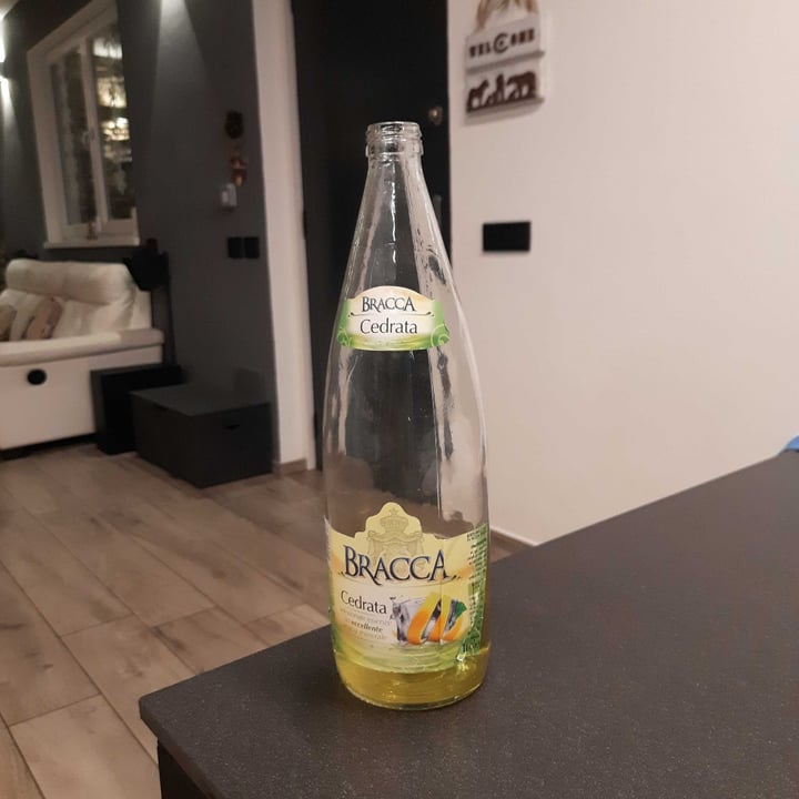 Bracca cedrata Review | abillion