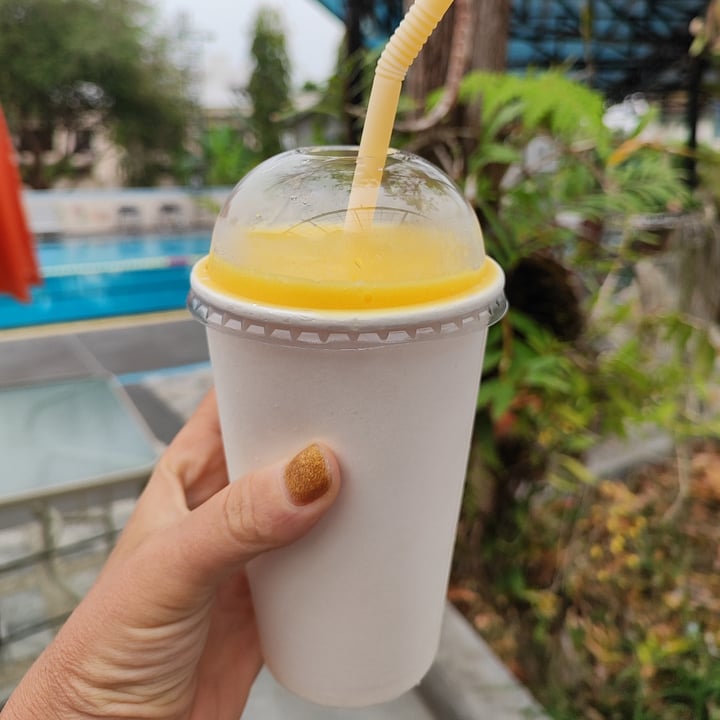 Looper Wave ตำบลช้างเผือก, Thailand Mango Pineapple Ginger Review ...