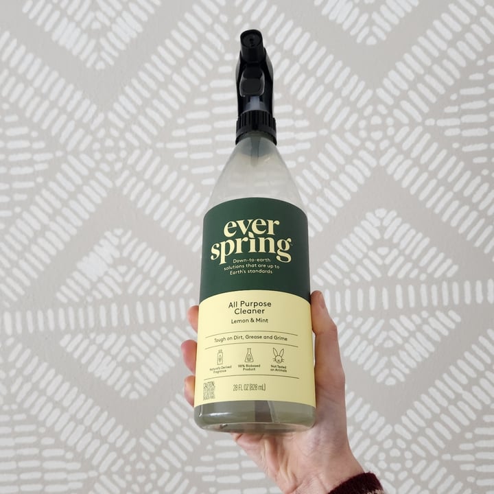 ever spring by Target All purpose spray lemon and mint Review | abillion
