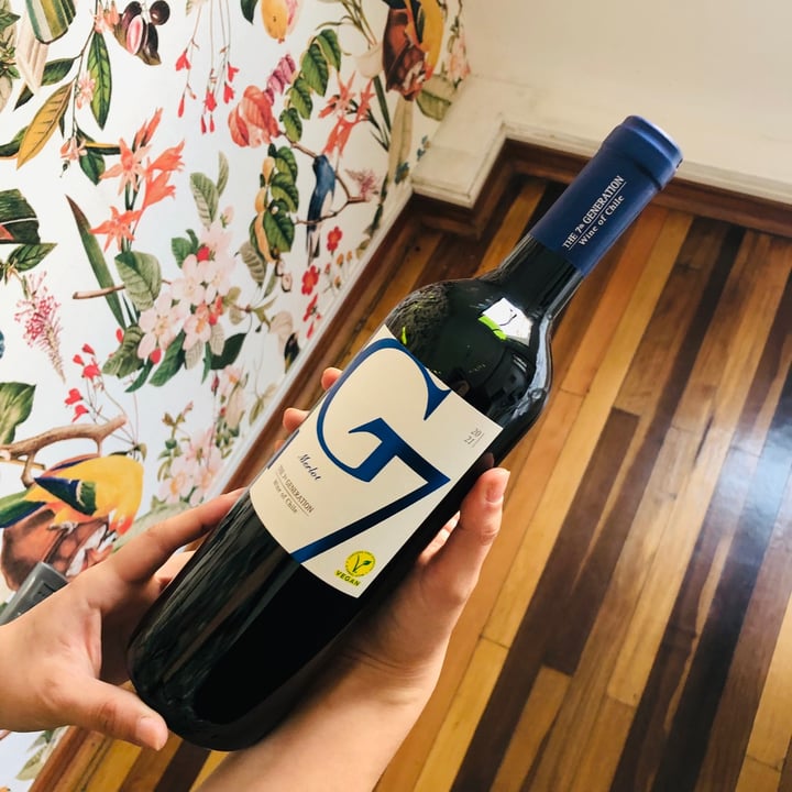 Viña del Pedregal G7 Merlot 2021 Review | abillion