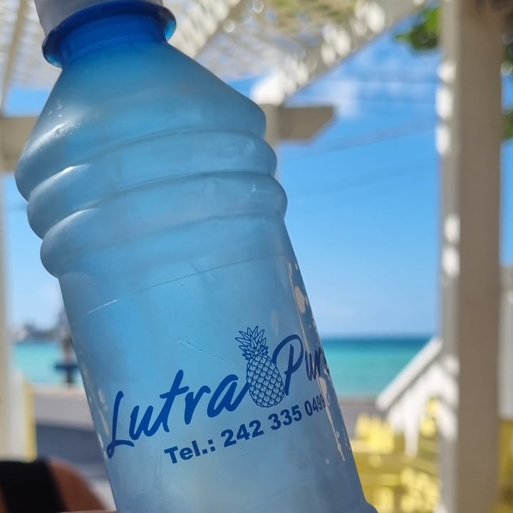 Lutra Pure Still water 💦 Review | abillion
