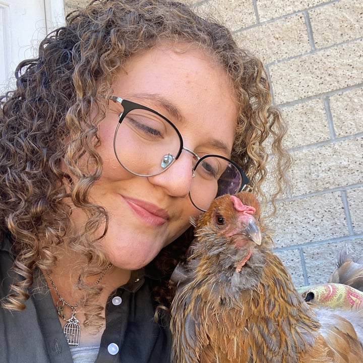 Zoe Rooster (@zoerooster) | abillion