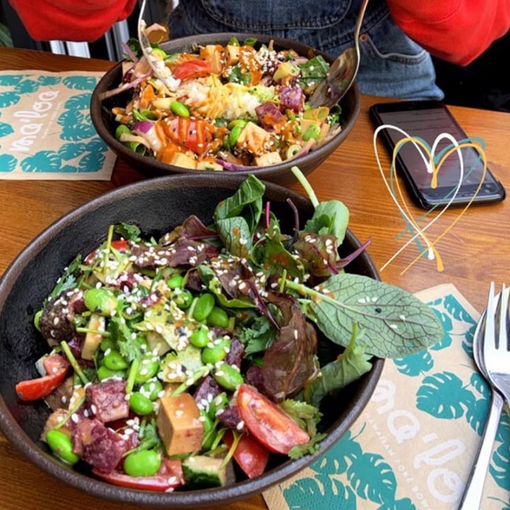 MALOA Poke Bowl Innenstadt, Köln, Germany Poke Bowl Review | abillion