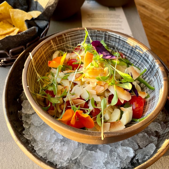 Madera at Treehouse London United Kingdom Vegan Ceviche Review | abillion