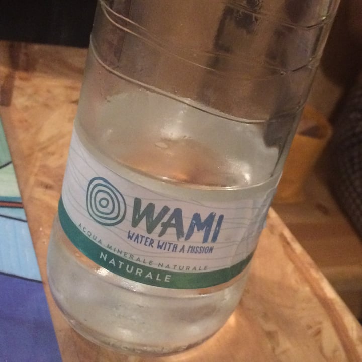 WAMI Acqua naturale Review | abillion