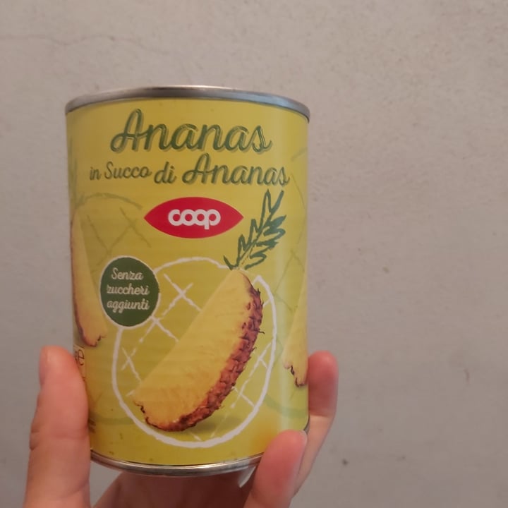 Coop Ananas Can Review | abillion