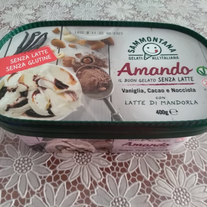 Sammontana Amando Vaniglia Cacao e Nocciola 400g Tub Review | abillion