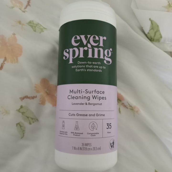 Ever Spring Multi-Surface Cleaning Wipes Review | abillion