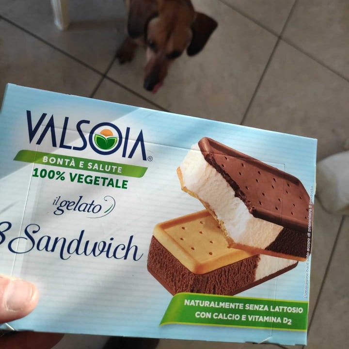 Valsoia Soya Ice Cream Sandwiches Review | abillion