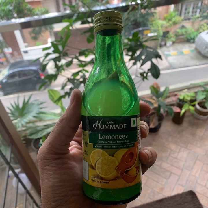 Dabur Homemade Lemoneez Review | abillion