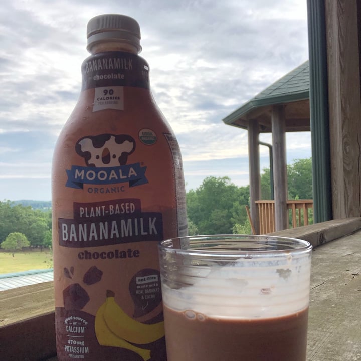 Mooala Plant Based Bananamilk - Chocolate Review | abillion