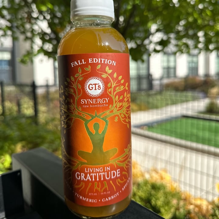 GT’s Synergy Raw Kombucha Living in Gratitude Fall Edition Review ...