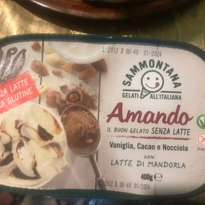 Sammontana Amando Sammontana gelato Vaniglia Cacao Nocciola Review | abillion