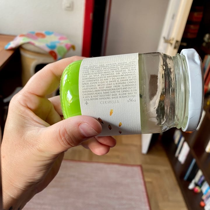 Cerabella Reviews | abillion