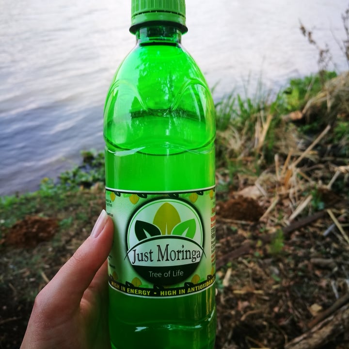 Just Moringa Reviews | abillion