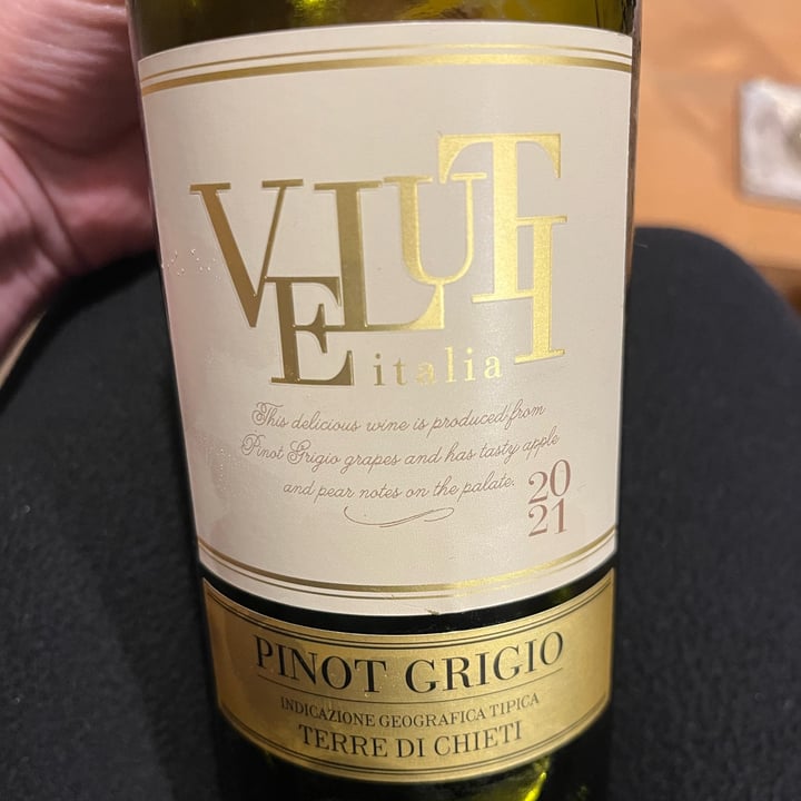 veluti Pinot Grigio Review | abillion